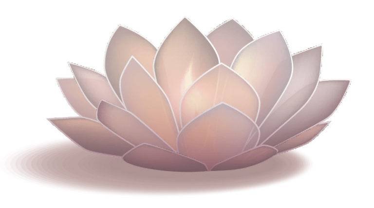 Gautam Sachdeva – Talks, Events, Books